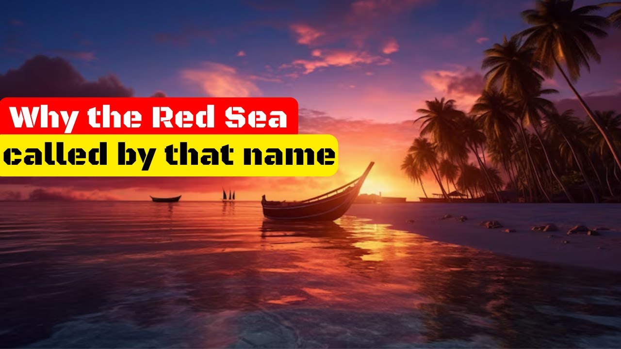 Why Is It Called the Red Sea? 5 Fascinating Facts Revealed