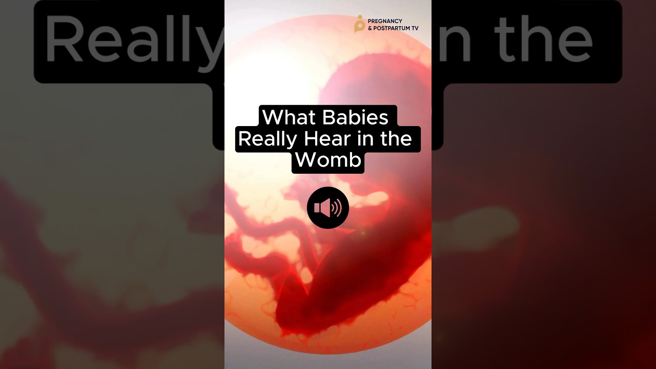 Womb Wisdom: 5 Essential Facts You Need to Know