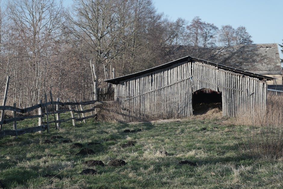 ᐅ Adoptera barn pris: 7 fakta du måste veta innan beslutet