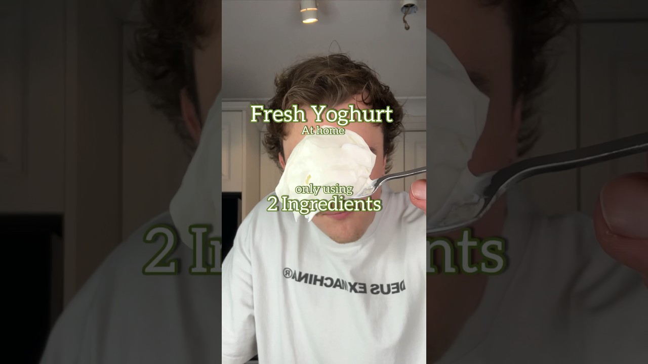 ᐅ Dofilus yoghurt 5 goda recept för hälsosam njutning