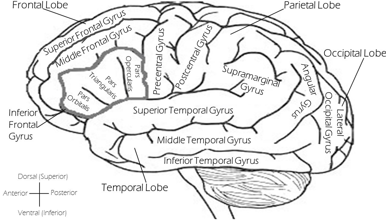 ᐅ Brain Dump Methode: 7 Schritte zur maximalen Produktivität
