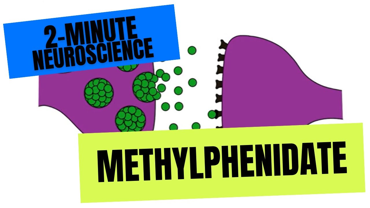 ᐅ Ritalin Drogentest: 5 Fakten, die Sie unbedingt wissen müssen!