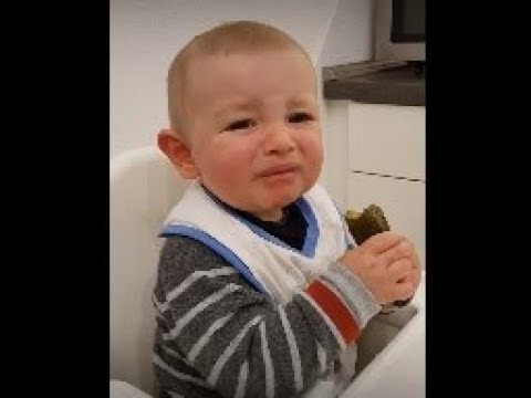 ᐅ Rohe Gurke Baby 5 Tipps für eine gesunde Ernährung