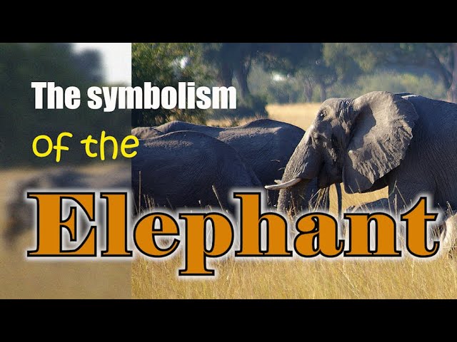 Elefant Bedeutung Symbol