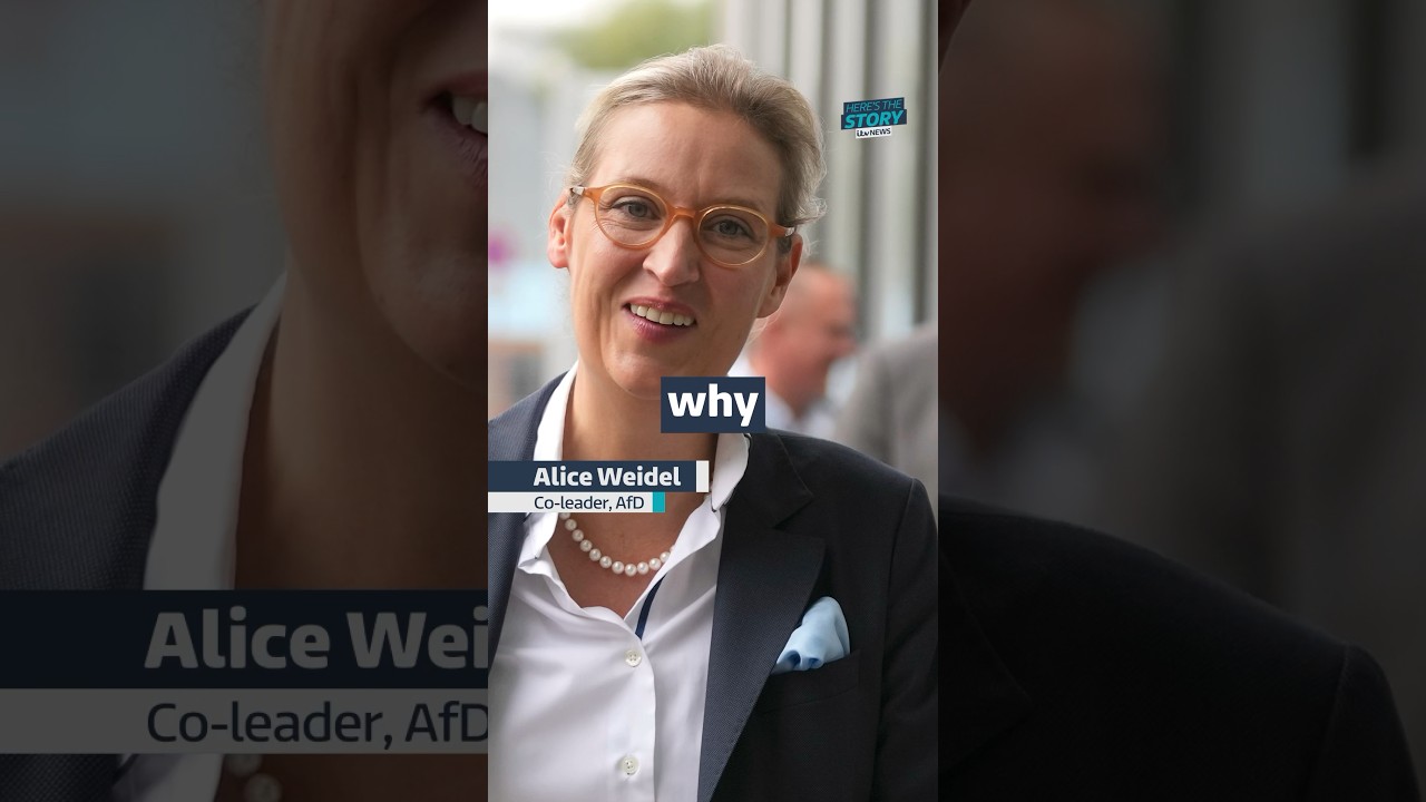 ᐅ Afd bilder 2025: 7 faszinierende Beispiele, die begeistern!